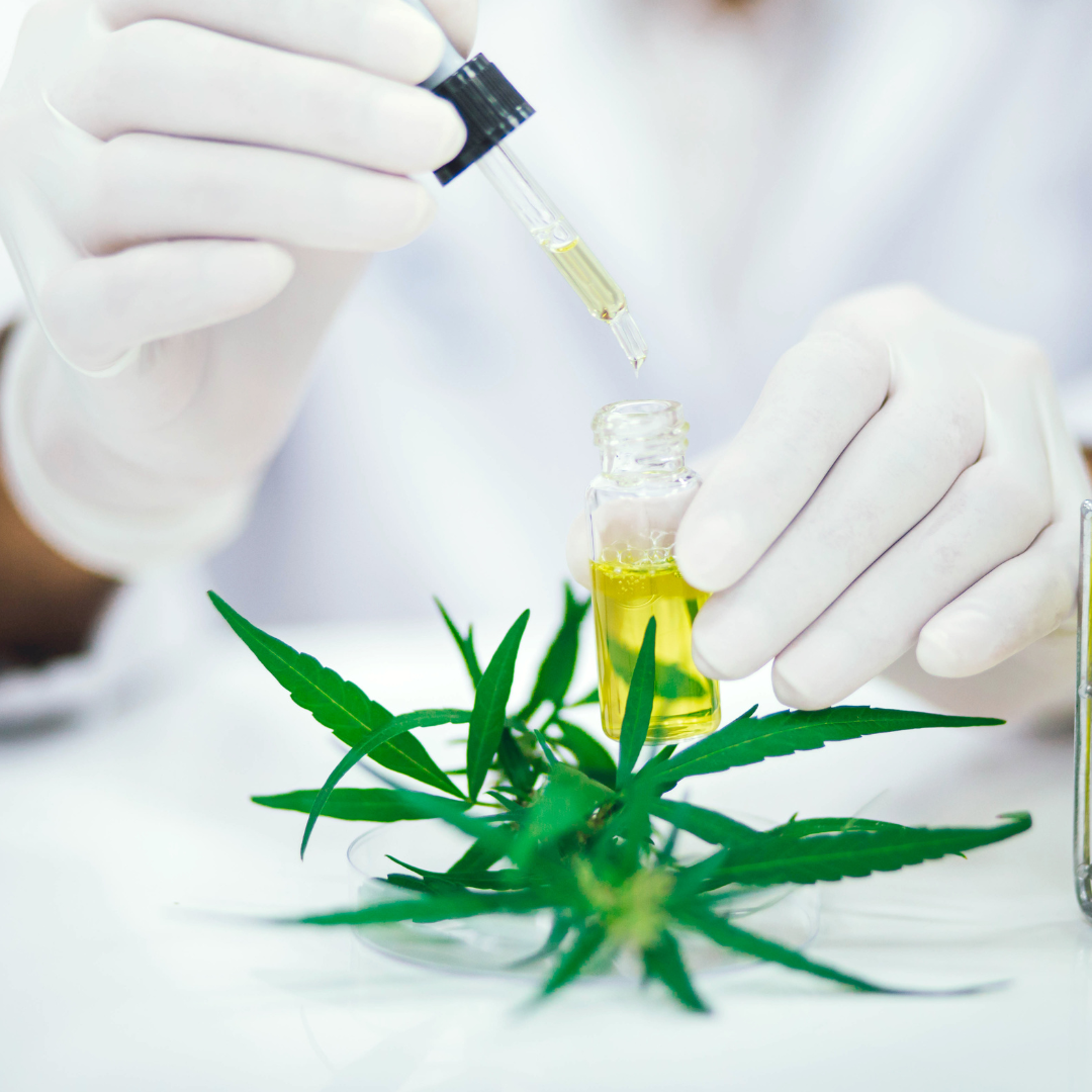 Os benefícios da medicina canabinoide: o que você precisa saber